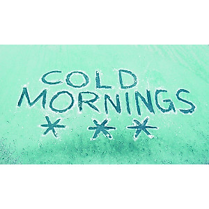 Avital 5303L Car Alarm Remote Start and Keyless Entry Vehicle Security System with 2-way LCD Remote-Set