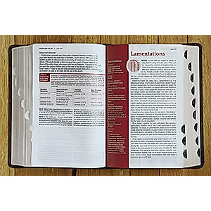 NIV, Life Application Study Bible, Third Edition, Large Print, Bonded Leather, Brown, Red Letter, Thumb Indexed