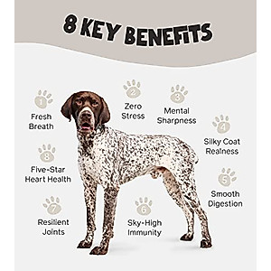 FRONT OF THE PACK The One Dog Food Supplement Powder - Allergy and Itch Relief, Digestive Support, Brain Support & Joint Booster with Glucosamine Chondroitin for Dogs