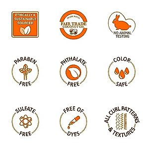 Palmer's Coconut Oil Formula Moisture Boost Leave-In Conditioner, 8.5 Ounce