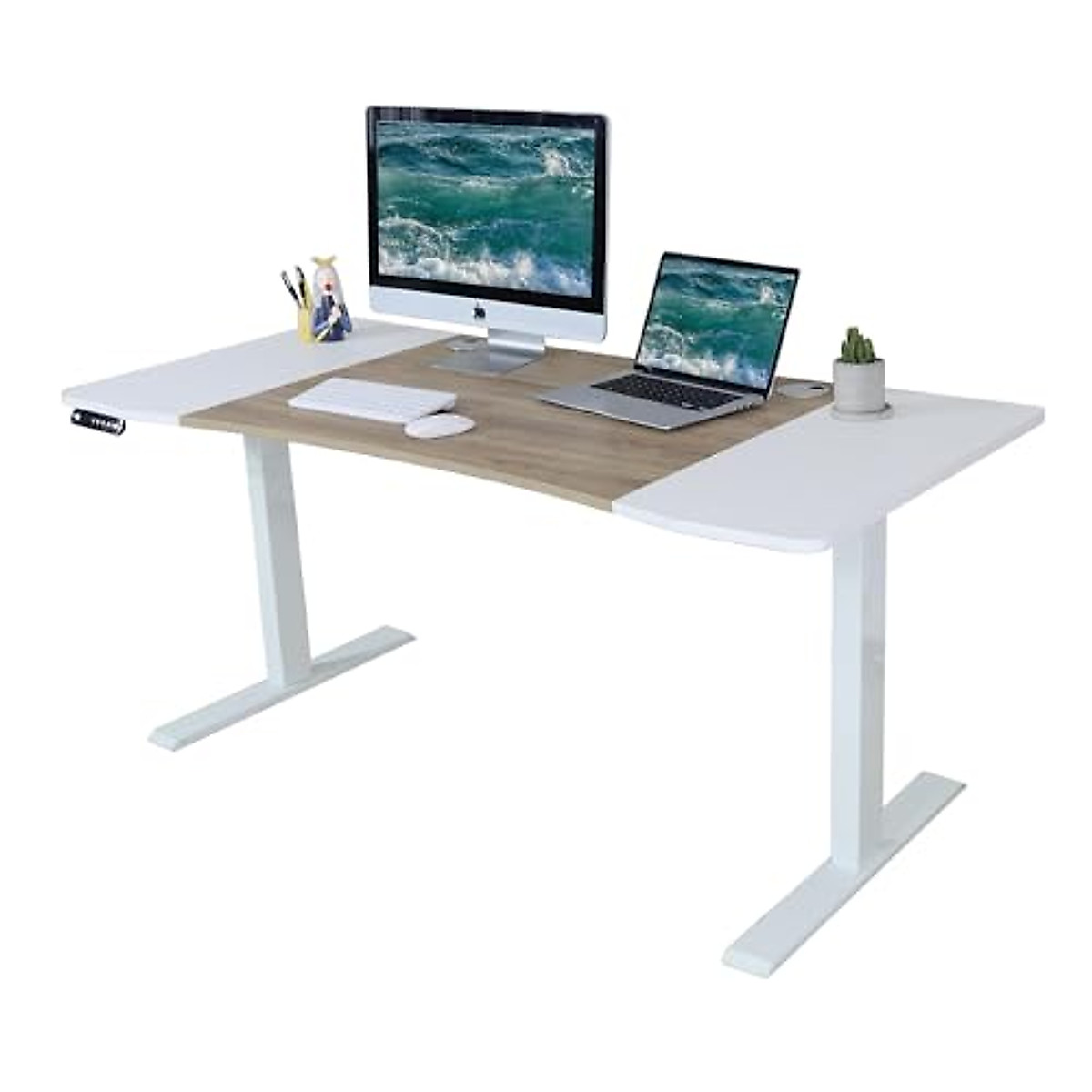 Dual Motor 63x30 Height Adjustable Electric Standing Desk,Height Stand Up Computer Desk,Sit Stand Home Office Desk with Splice Board, White and Oak Top, White Frame