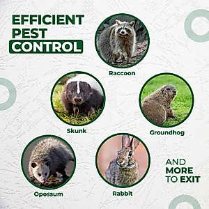 Rhino Excluders® Prochute™ Excluder One Way Door for Removal of Raccoons, Skunks, Opossums, Groundhogs and Rabbits - Black