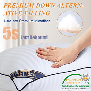 Yettbea Throw Pillows Inserts 18'' x 18'', Set of 2, Decorative for Couch, Sofa or Bed with Premium Down Alternative Filled, White