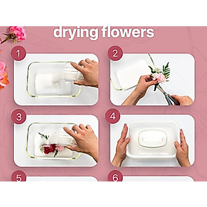 Dry & Dry (1 Gallon-NET 6 LBS) Color Indicating Premium Silica Gel Flower Drying Desiccant - Flower Drying Silica Gel Desiccant(6 LBS Reusable) Silica Gel