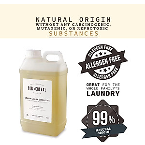 Fer à Cheval Concentrated Laundry Liquid, Allergen Free with Marseille Soap Laundry Detergent Liquid, Organic Washing Detergent Laundry Soap, Fresh Spring, 2L/67.6oz