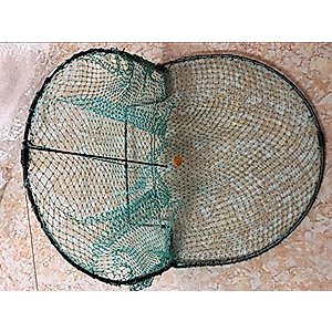 CHENGYIDA 1pc Effective Bird Pigeon Live Trap Sensitive Quail Humane Trapping Hunting 40cm
