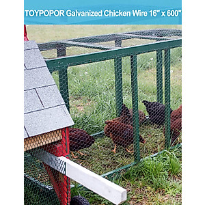 TOYPOPOR Chicken Wire 40cm x 15m, Outdoor Anti-Rust Hexagonal Galvanized Chicken Wire Fencing, Chicken Wire Mesh to Protect Gardening Plants Vegetables Flowers Fruits from Dogs, Rabbits,Squirrels
