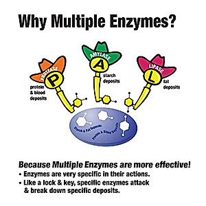 Multi Enzymatic Liquid Medical Instrument Cleaner Concentrate for Veterinary and Surgical Equipment Presoak and Reprocessing, For Use with Ultrasonic Units and Manual Cleaning, 1 Gal