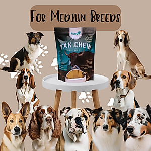 Furry Fam | Yak Cheese Himalayan Dog Chews - Dog Treats for Small Breed - Yak Chews Long Lasting - Dental Chews for Dog - Healthy Dog Treats (Medium - 10 Sticks)