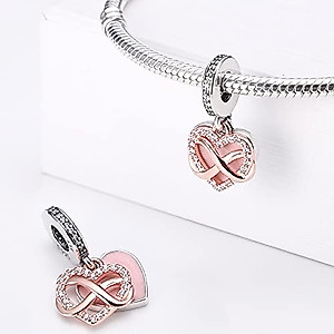 LONGLUCK 925 Sterling Silver Bead Charm for Pandora Charms Bracelets and Necklaces for Woman 5A Cubic Zirconias Dangle Pendant,Jewelry Bead