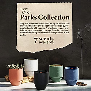 Paddywax National Parks Artisan Hand-Poured Scented Candle, 11-Ounce, Glacier - White Pine + Hemlock