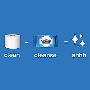 Cottonelle Flushable Wet Wipes for Adults, 2 Flip-Top Packs, 42 Wipes per Pack (84 Wipes Total)