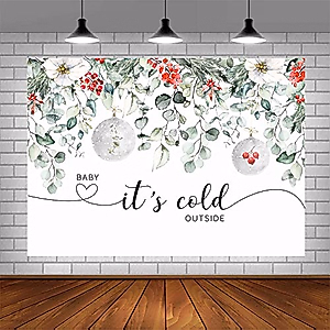 AIBIIN 7x5ft Winter Baby It's Cold Outside Backdrop Christmas Eucalyptus Leaves Baby Shower Decorations Winter Photography Background for Baby Shower Photo Booth Props