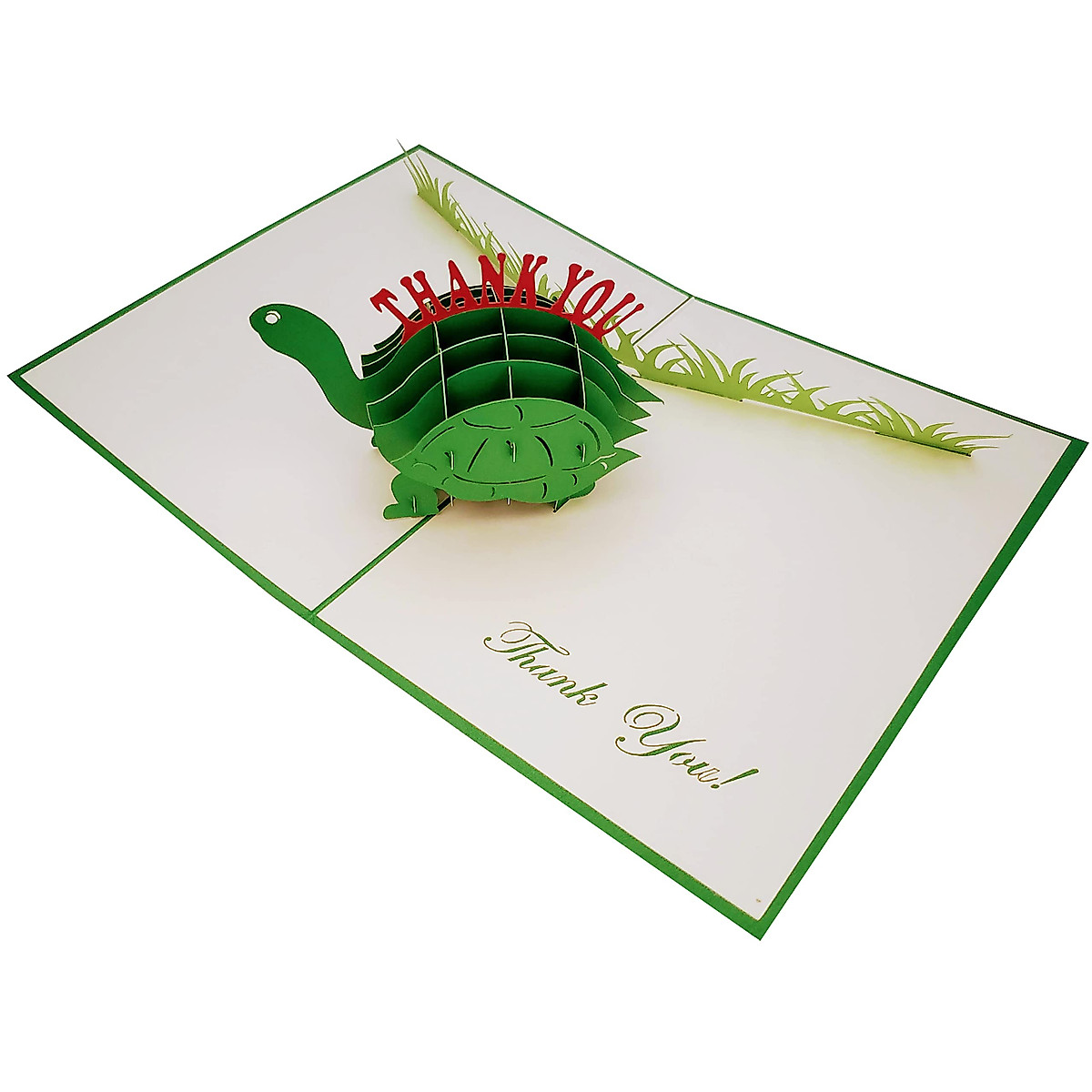 iGifts And Cards Cute Turtle Thank You 3D Pop Up Greeting Card - Funny Animals, Turquoise, Blank, Cool, Fun, Half-Fold, Thank You, Gratitude, Appreciation, Friendship, Best Friend, Belated, Kids, Grad