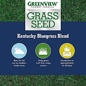 GreenView Fairway Formula Grass Seed Kentucky Bluegrass Blend - 3 lb. Bag