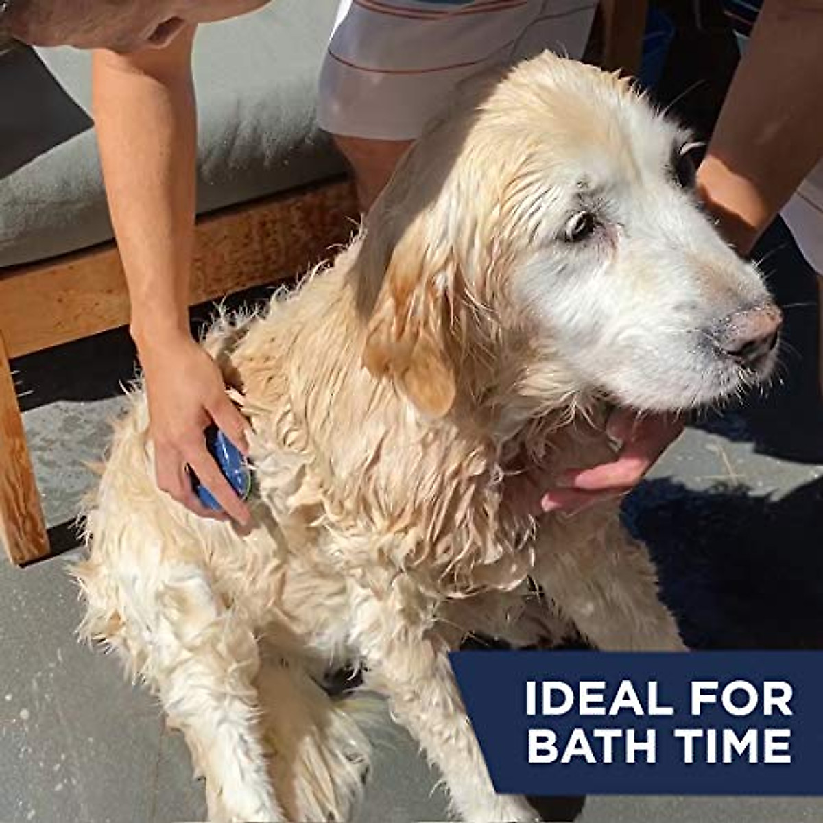 Bonza Dog and Cat Massage Brush, Dog Bath Brush with Removable Screen, Soft Silicone Bristles for Gentle Grooming for Pet, Curry Comb for Washing, Brushing for Short, Medium and Long Haired Pets