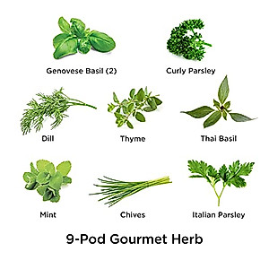 AeroGarden Gourmet Herb Seed Pod Kit - Herb Seeds for AeroGarden Indoor Garden, 9-Pod