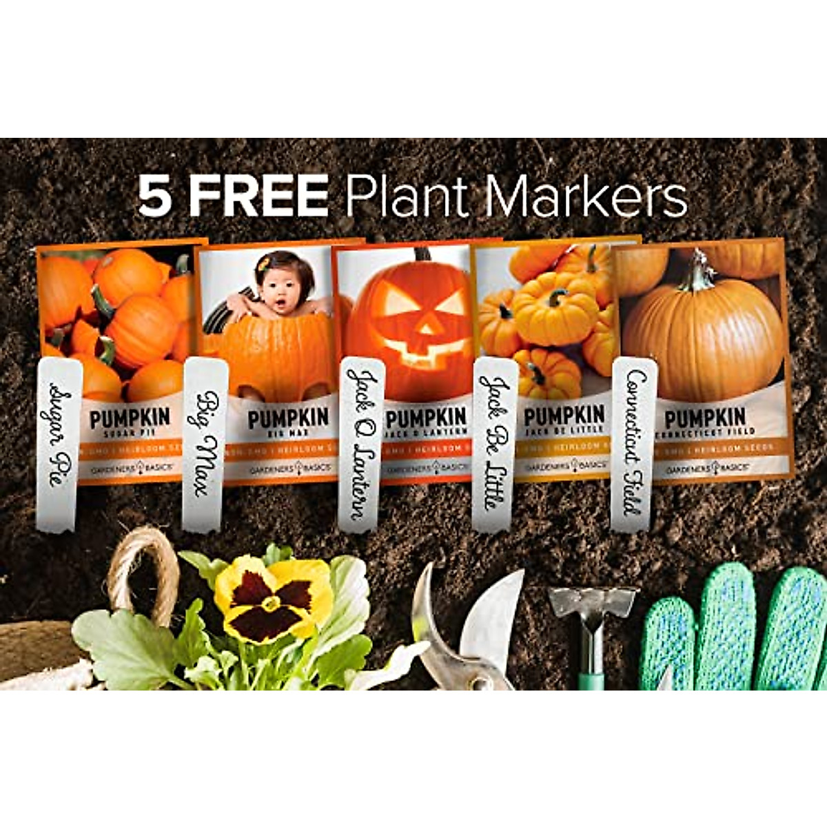 Pumpkin Seeds to Plant - 5 Variety Baby Boo, Giant Big Max, Jack Be Little, Jack O Lantern, Sugar Pie, Great for Pumpkin Seed for Summer, Fall, Pumpkin Seeds for Planting by Gardeners Basics