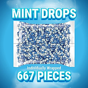 Colombina Breath Mints Delicate Drops - Over 660 Individually Wrapped Breath Savers Mini Mints in Bulk Bag for Long-Lasting Freshness and Convenience (2.2 lbs)