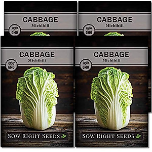 Sow Right Seeds - Michihili Napa Cabbage Seed for Planting - Non-GMO Heirloom Packet with Instructions to Plant an Outdoor Home Vegetable Garden - Great Gardening Gift (4)
