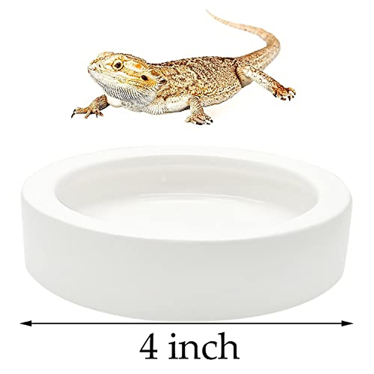 2 Pcs Reptile Food Bowl Ceramic Water Feeder Bowls Anti- Escape Mini Reptile Feeder for Lizard, Gecko etc, Round