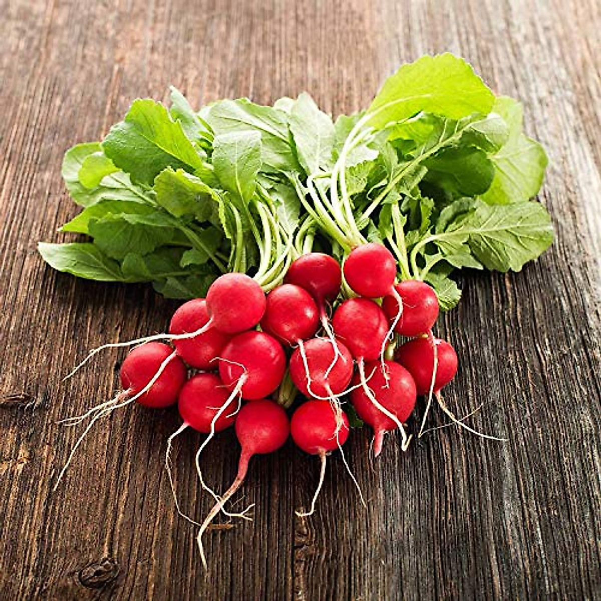 Cherry Belle Radish Seeds for Planting, 100+ Heirloom Seeds Per Packet, (Isla's Garden Seeds), Non GMO Seeds, Botanical Name: Raphanus sativus, Great Home Garden Gift