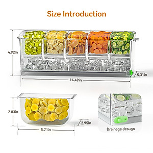 Dimber Chilled Condiment Server with Lid, Condiment Tray with Ice cube, 500 Forks, 2 Tongs and 6 Spoons,Condiment Caddy, Condiment Containers with Lids, Perfect for Salad Bar, Mimosa Bar, Fruit Tray