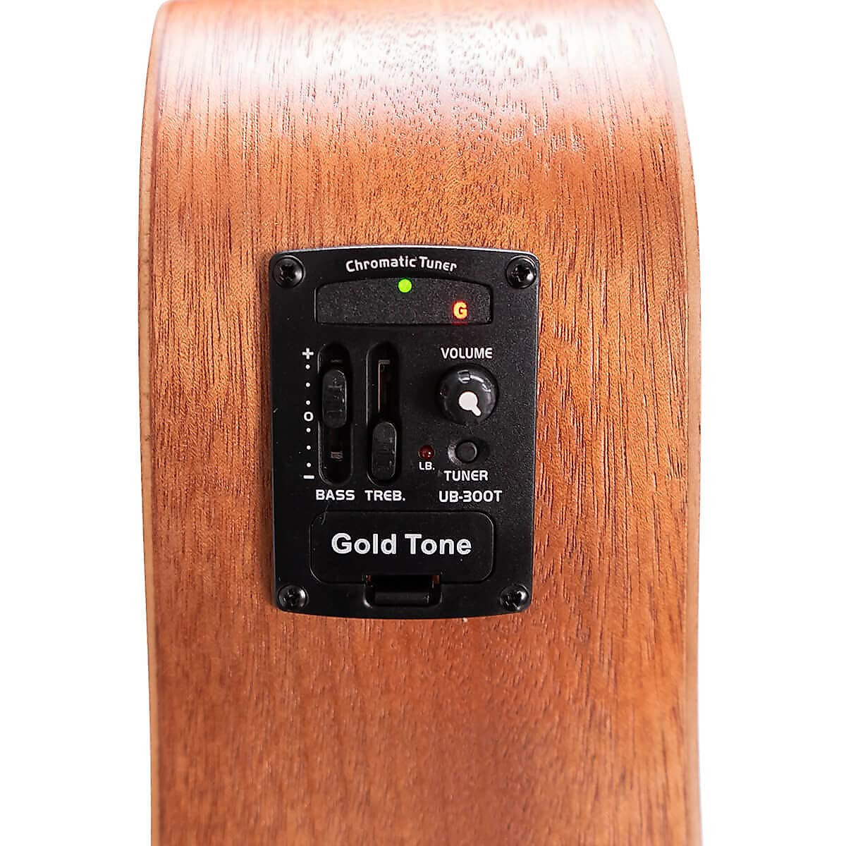 M-Bass25FL 25-Inch Scale Fretless Acoustic-Electric MicroBass with Gig Bag