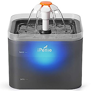 iPettie Neverland Cat Water Fountain with LED Light, 67oz/2.0L, Ultra Quiet Cat Drinking Fountain with Filter, Automatic Pet Water Fountain, Cat Fountain for Cats and Small Dogs, Grey