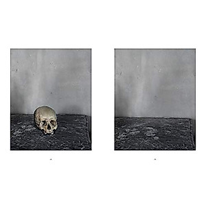 Joel Meyerowitz: Cézanne's Objects