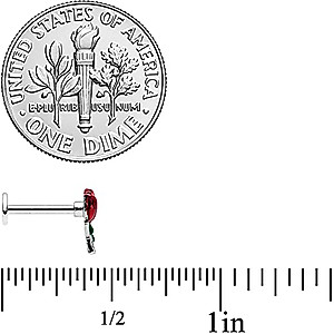 Body Candy Womens 16G Stainless Steel Red Rose Flower Labret Monroe Lip Ring Tragus Cartilage Stud 5/16"