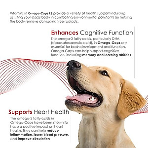 Omega-Caps Extra Strength for Large Breeds-Vet Formulated for Healthy Radiant Skin & Coat While Reducing Excess Shedding. Contains Omega 3 for Immune System Support, Easy to Dose, 60 Soft Gel Capsules