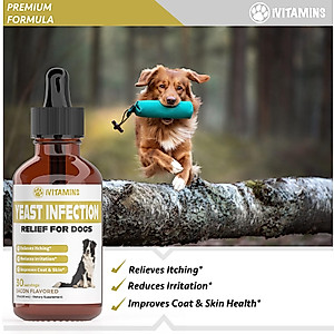 Natural Yeast Infection Treatment for Dogs | Helps to Support Itch & Inflammation Relief, & More | Dog Ear Infection Treatment | Dog Itch Relief | Dog Yeast Ear Infection Treatment | (Bacon) (2 Pack)