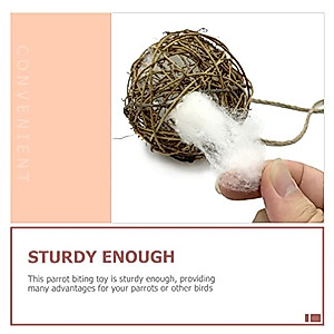 HANABASS 3pcs Bird Chewing Toys Foraging Shredder Toy Parrot Cage Foraging Hanging Toy Bird Grinding Toys for Cockatiel Parrot Small Birds Animal