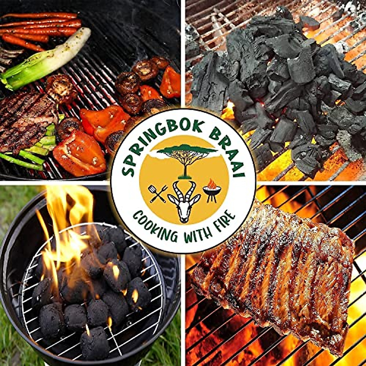 Springbok Braai Best Charcoal Briquettes for Grilling - All Natural Hardwood Briquettes Charcoal for Smoker, Outdoor BBQ Grill - High Heat, Long Lasting, Economical, Sustainable Acacia Wood,1x5 lb Box