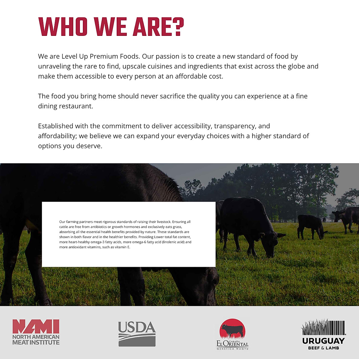 Primal 35 Organic Grass Fed Beef, Fillet Mignons, NY Strips, Angus Tenderloin, Steak, Tenderloins Tips, Ribeyes, High Protein Meals - Pasture-Raised, Hormone-Free, USDA Organic (Ultimate Grill Combo 6-Pack, NEW YORK STRIPS & RIBEYES)