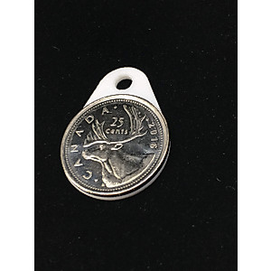 Shopping Cart Quarter Version 2.0 (White Polycarbonate, 4)