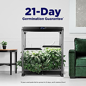 AeroGarden Farm 24XL with Salad Bar Seed Pod Kit - Indoor Garden with LED Grow Light, Black