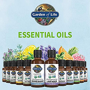 Garden of Life Essential Oil, USDA Organic & Pure, Clean, Undiluted & Non-GMO, for Diffuser, Aromatherapy, Meditation, Cleansing, Relaxing, Calming, Lemongrass, 0.5 Fl Oz