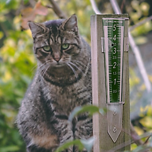 Circrane 5-Inch Capacity Outdoor Rain Gauge with Additional Hang Bracket& Stainless Steel Screws, Magnifying Scale and Numbers Design for Easy Read (Green)