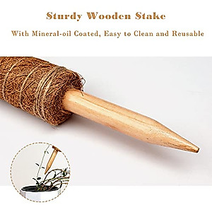 Rcraft 63 Inch Tall Moss Pole for Plants Monstera 4 Pack with Hemp Rope, Bendable Stakes for Indoor Plants Support/Totem Pole, Climbing Plants Sticks for Growth- Perfect for Medium/Large House Plants