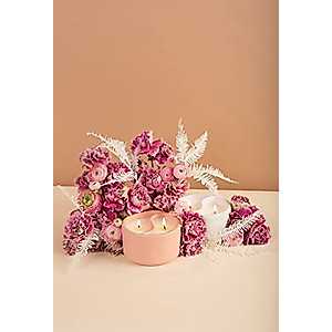 Paddywax Candles YY1004Z Yin & Yang Collection Scented Candle, 11-Ounce, White - Black Salt | Teakwood