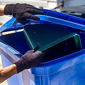 Wells Lamont Versatile Work Gloves | Lightweight, Durable, Comfortable Jersey | Basic, Large (506LZ) , Black, 12-Pair Bulk Pack