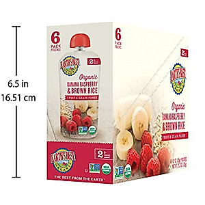 Earth's Best Organic Stage 2, Banana, Raspeberry & Brown Rice, 4.2 Ounce Pouch (Pack of 6)