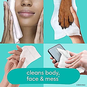 Pampers Baby Wipes Multi-Use Fragrance Free 9X Pop-Top Packs 504 Count