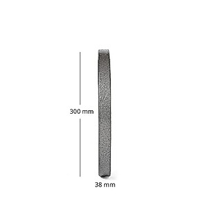 Titan Fitness 25 LB Cast Iron Olympic Plates, Sold In Pairs, Classic Weight Plate Design, Silver Hammer Finish