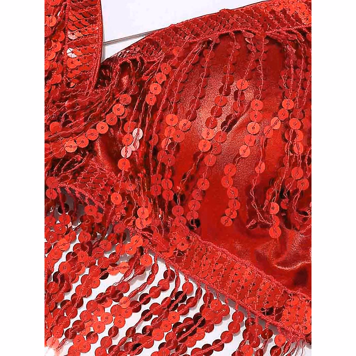 Kakaco Belly Dance Skirt with Crop Top Sequins Fringe Skirts Set Rave Dance Bra Top Party Costume Outfits for Women and Girls (A-Red)