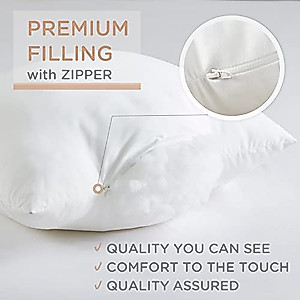 Codi Outdoor Pillow Inserts Set of 2, 20x20 Throw Pillows Insert, Water Resistant Decorative Stuffing Cushion for Patio Furniture. Couch, Porch Indoor Outdoors