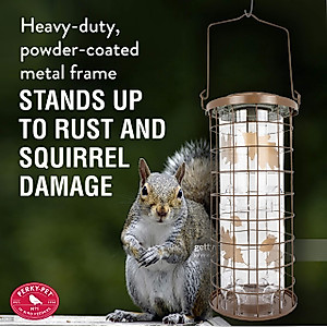 Perky-Pet 114B Squirrel Stumper Bird Feeder, Copper