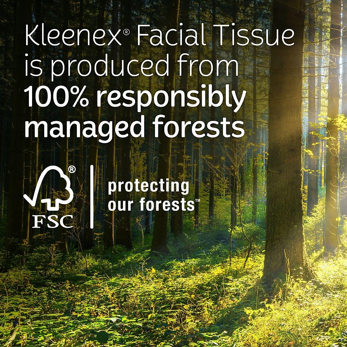 Kleenex Disposable Paper Hand Towels, Paper Hand Towels for Bathroom, 6 Boxes, 60 Hand Towels per Box (360 Total Towels)